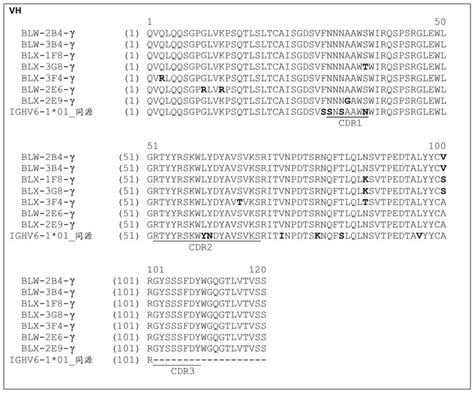 Anti Cd3 Antibodies And Uses Thereof Eureka Patsnap
