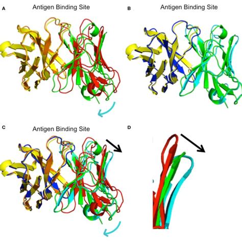 Overview Of Characteristics Of Representative Second Generation Bnabs
