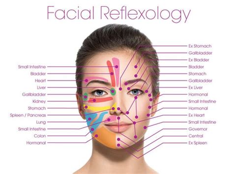 Face Reflexology