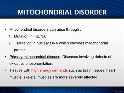 Mitochondrial Inheritance In Man Ppt