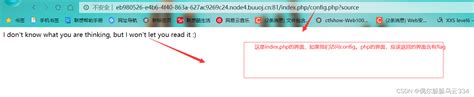 php特性函数（正则 漏洞函数） config flag index php csdn博客