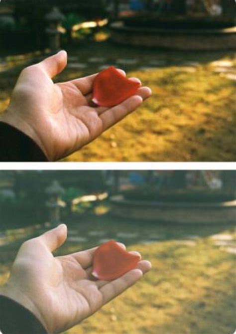 브런치북 그래도 사랑하기