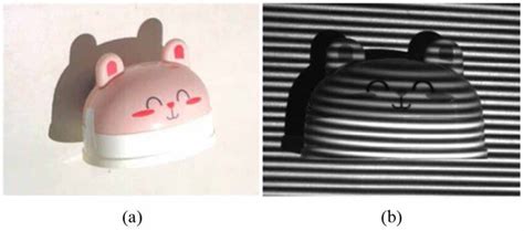 The Object Used In The Experiment A The Carton Face Object B The Download Scientific