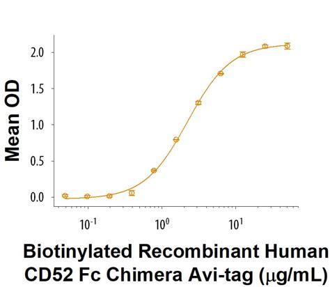 Recombinant Human Cd52 Fc Chimera Avi Tag Protein Cf Avi9116 050 Randd