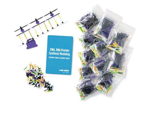 DNA Modeling Molecular Structure Replication Lab Aids