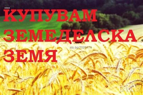 Купуваме земеделски земи Купува имоти Шумен Купуваме земеделски земи в обл Шумен всич