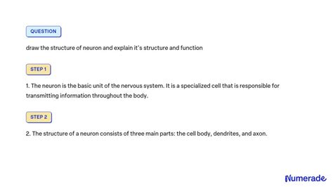 Solved Draw The Structure Of Neuron And Explain Its Structure And Function