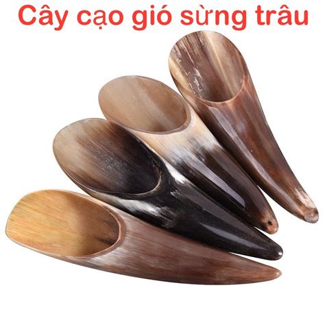 Cây Cạo Gió Sừng Trâu
