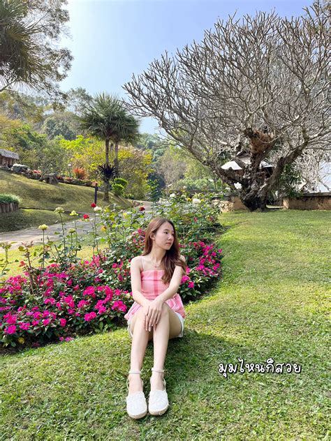 สวนแม่ฟ้าหลวง ดอยตุง เชียงราย แกลเลอรีที่โพสต์โดย 𝐦𝐦 ♡︎ Lemon8