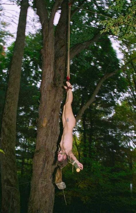Inverted Suspension Outdoors Professor Frink