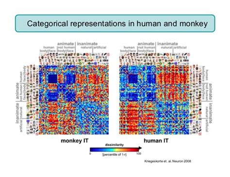 Theoretical Neuroscience And Deep Learning Theory