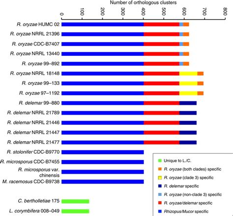 Identification Of Orthologous Clusters A Bar Plot Of Orthologous Gene