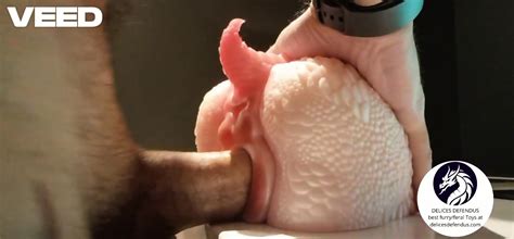 Massive Breeding Cocks Fill Aluras Elegant Dragon Holes Furry Sextoy From Delices Defendus