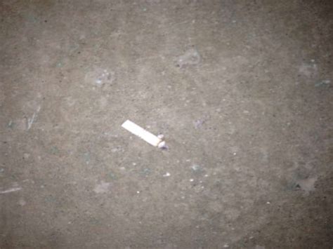 Audio Assignment Pptx