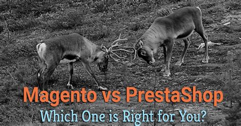 Magento Vs PrestaShop Which One Is Right For You NChannel Blog