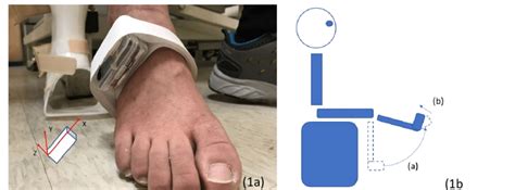 A Illustration Of Mounting And The Orientation Of The Employed IMU Download Scientific