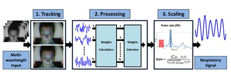 Overview Of The Proposed Framework For Robust Respiration Detection Download Scientific Diagram