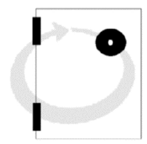 Illusion Of Clockwise Circular Motion For A Download Where Black Areas Download Scientific