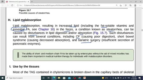 240 Dietary Lipid Metabolism Lipid Malabsorption Steatorrhea Youtube