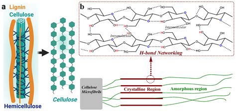 Cationized Cellulose Materials Enhancing Surface Adsorption Properties Towards Synthetic And