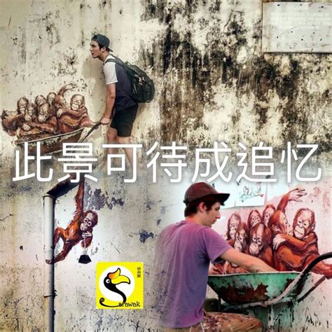 再见了，小小人猿们 砂州眼 Sarawak Eye