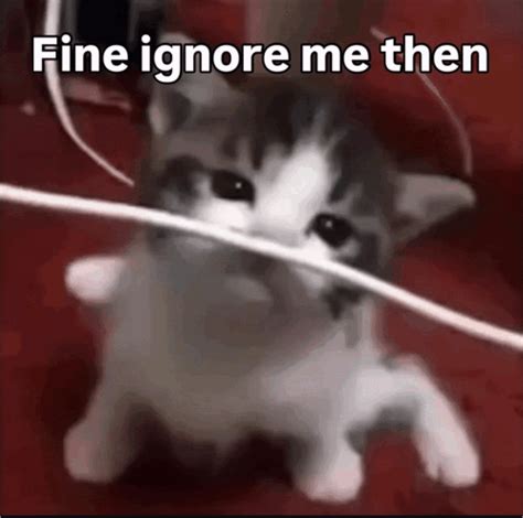 Cat Ignore Me Then  Cat Ignore Me Then Electric Shock Discover