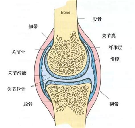 膝关节创伤性滑膜炎【多图】39医疗图集 39健康网