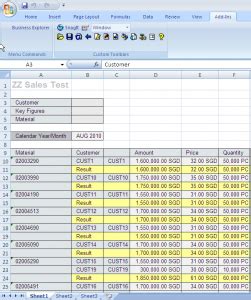 BEX Analyzer Sap Security Pages
