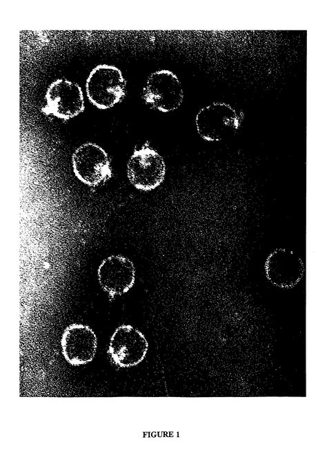 Compositions Containing Bacteriophages And Methods Of Using
