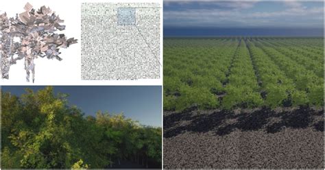 Broadleaf Developing A Real Time Solution For Rendering Trees