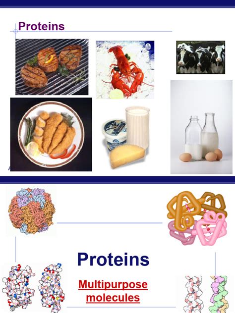 Ch 5 Protien Pdf Protein Structure Proteins