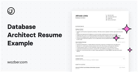 Database Architect Resume Example