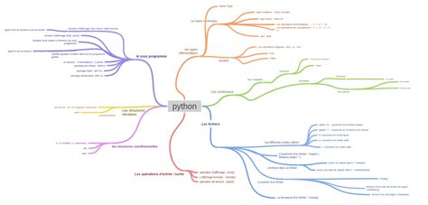 Python Coggle Diagram