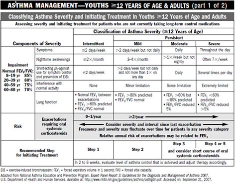 Asthma Management Adults Asthma Initiative Of Michigan