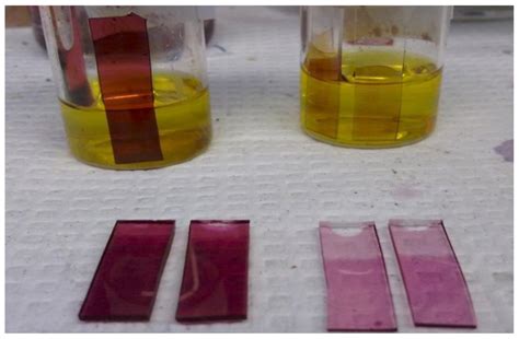 Polymers Special Issue Microfluidic Assisted Synthesis And Modification Of Polymeric Materials