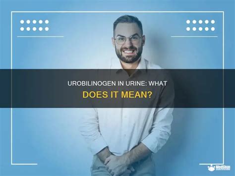 Urobilinogen In Urine What Does It Mean Medshun