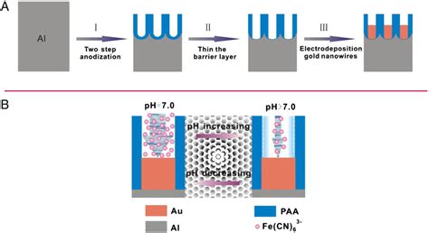A Schematic Illustration Of The Fabrication Of Au Nanopore Array Download Scientific Diagram