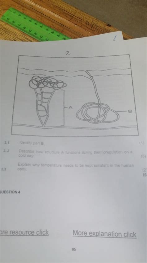 Image A Diagram Showing Two Structures Labeled A And B Likely Related T