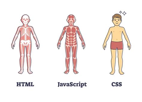 Programación Html Javascript O Css En Comparación Con El Concepto De