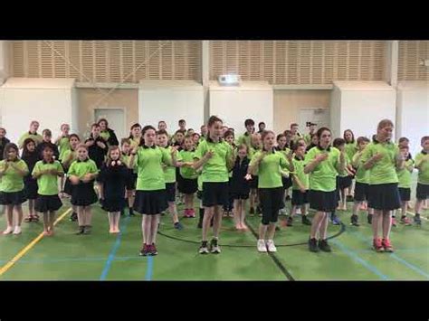 Video Looking Through The Te Matauru Primary Culturally Responsive