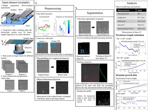 Dseg A Dynamic Image Segmentation Program To Extract Backbone Patterns