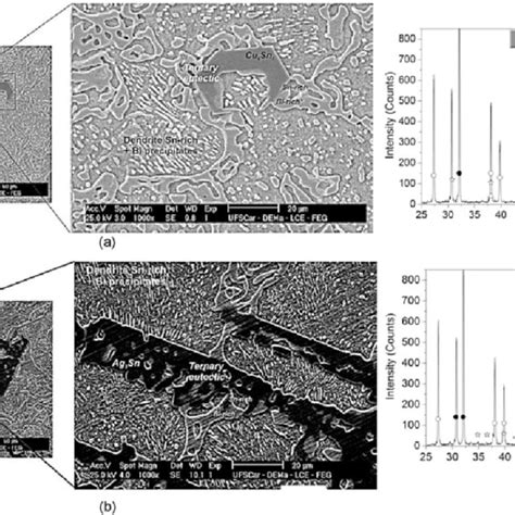 Growth Of Lamellar Eutectic And Co Existence Of Bi Rich Precipitates In