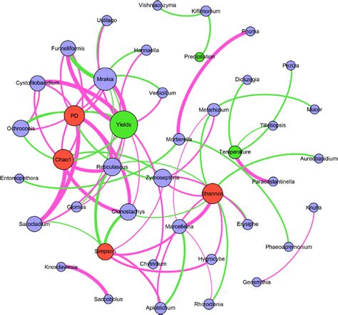correlation based network analysis showing potential interactions