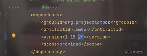 Maven项目打包报错unable To Make Field Private Comsuntoolsjavacprocessing