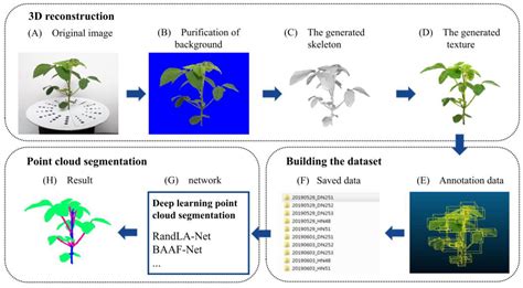 soybean mvs annotated three dimensional model dataset of whole growth