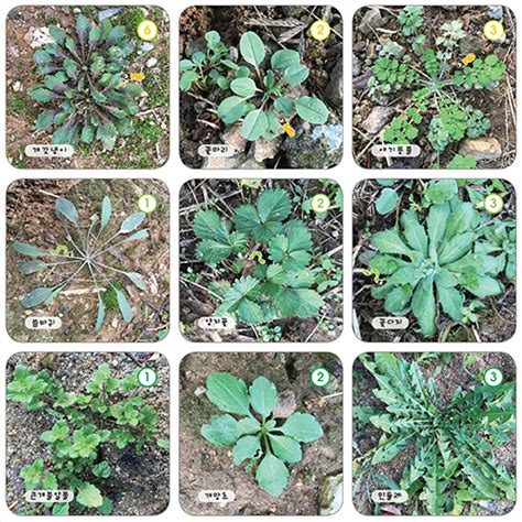 사계절 자연놀이카드 니스몰니스몰