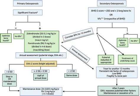 Treatment Algorithm In Primary And Secondary Osteoporosis α Vertebral