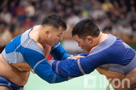 Ерөнхийлөгчийн цомын төлөөх барилдаанд Булган аймгийн Сэлэнгэ сумын харьяат Улсын начин Д