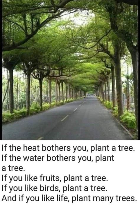 The Answer Is Simple Lyceum Of The Sacred Tree Npo