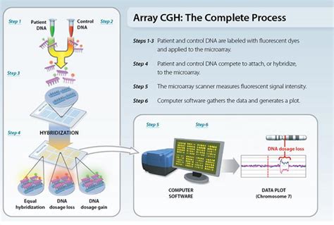 La Tecnica Array Cgh